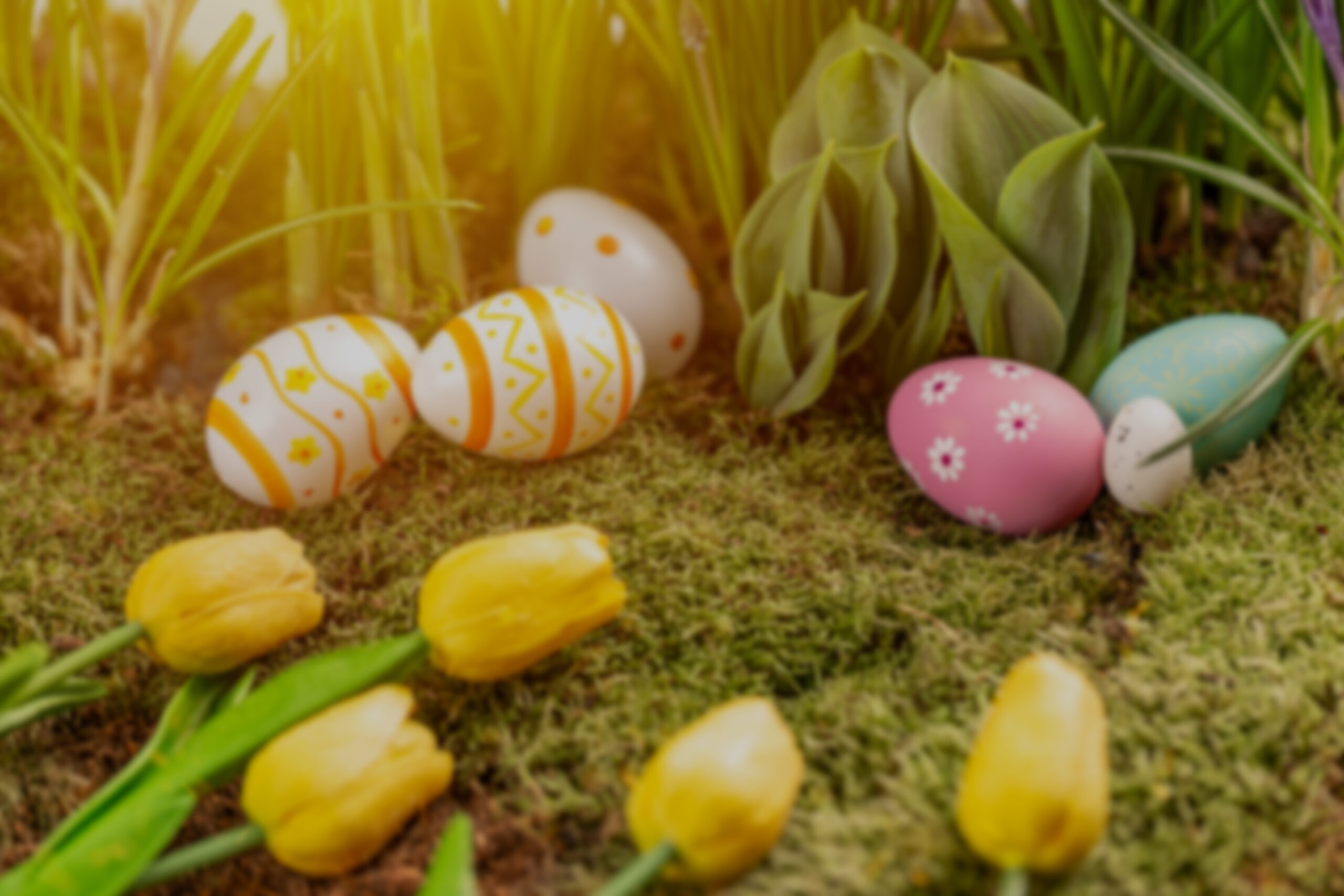 NHI Bahamas – National Health Insurance Authority